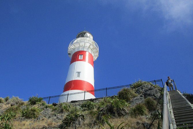 "Pinot to Palliser tour" - Guided tour to Cape Palliser vith lunch + winetasting - Key Points