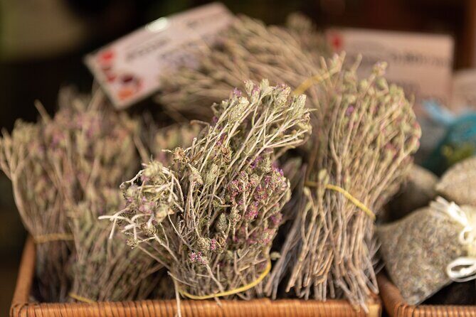 Piraeus: Explore the hidden food gems - A Closer Look at the Piraeus Food Tour Experience