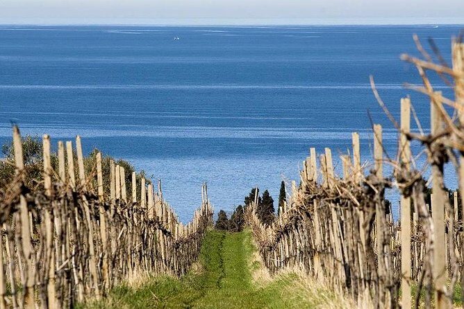 Piran and Scenic Slovenian Coast-Private Experience from Koper - Who Will Love This Experience?