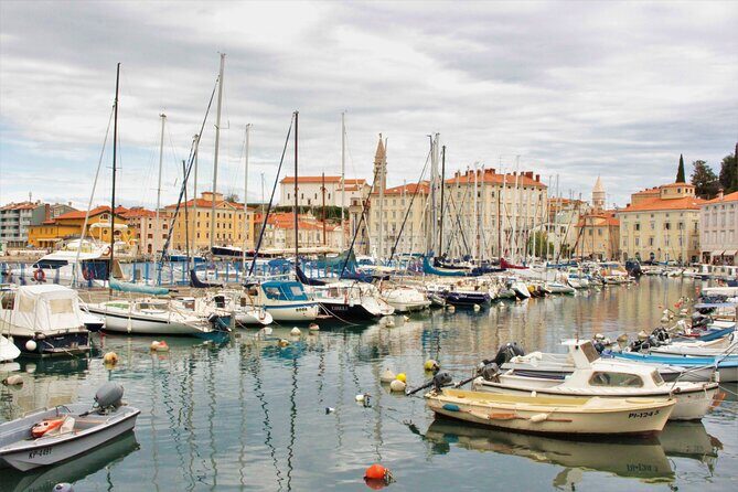 Piran & Panoramic Slovenian Coast - Small Group Tour from Koper - The Sum Up