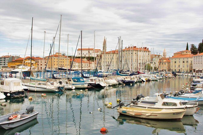 Piran & Panoramic Slovenian Coast - Small Group Tour from Trieste - Key Points