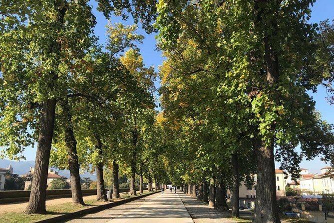 Pisa and Lucca from the Livorno Cruise Port - Cost and Value: Is It Worth It?
