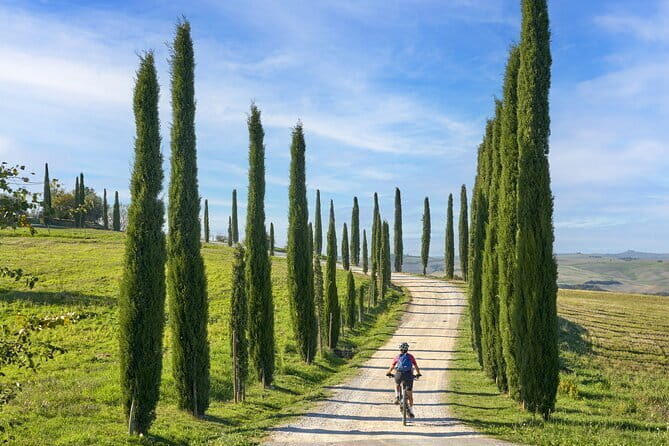 Pisa, Siena and San Gimignano Day Trip with Lunch & Wine Pairing - Final Sights and Return to Florence