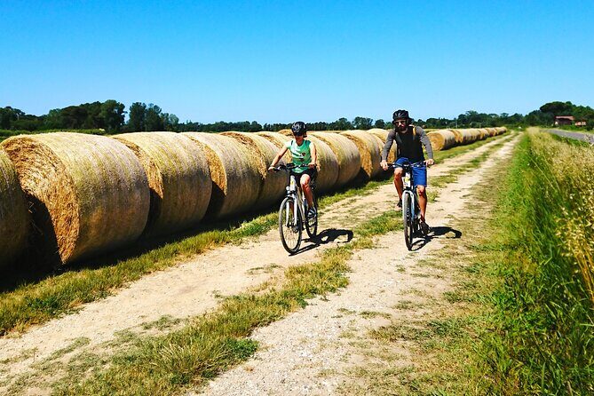 Pisa to Lucca Self-Guided Bike Tour Along the Puccini Trail - The Sum Up