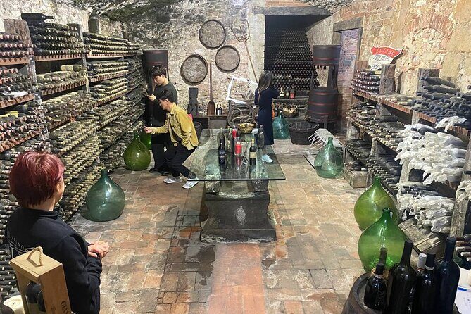 Pisa, Vinci, Tuscany, Wine tasting all in one day! - Small Group - FAQ