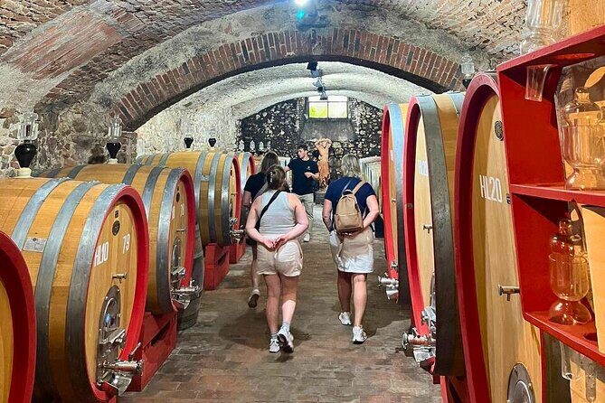 Pisa, Vinci, Tuscany, Wine tasting all in one day! - Small Group - Final Thoughts