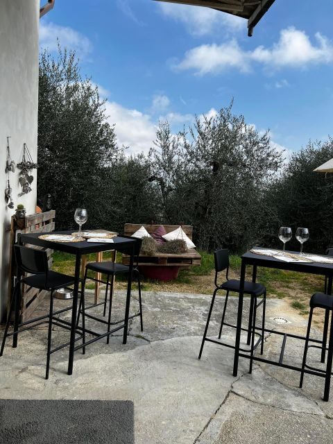 Pisa: Winery Tour and Wine Tasting with Local Food Pairing - Why This Tour Works for You