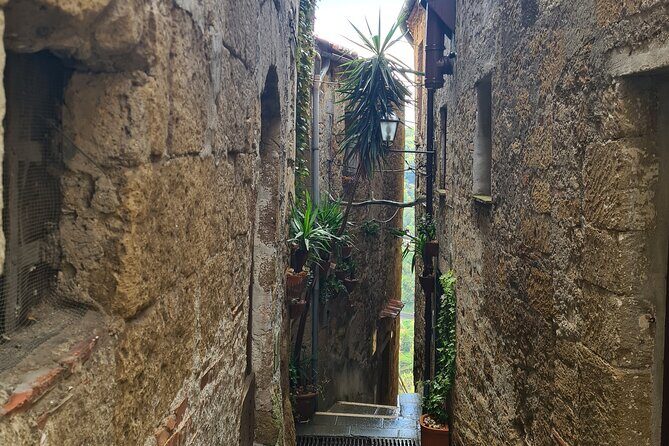 Pitigliano Private Walking Tour - The Sum Up