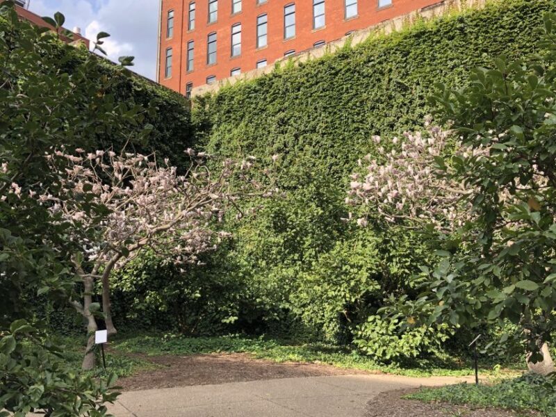 Pittsburgh: Best of the Burgh History and Architecture Tour - The Practicalities: What’s Included and What’s Not?