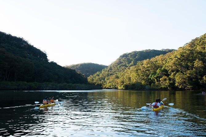 Pittwater Discovery Kayaking Tour - What Is the Pittwater Discovery Kayaking Tour?