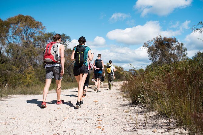 Pittwater Discovery Kayaking Tour - Who Is This Tour Best For?