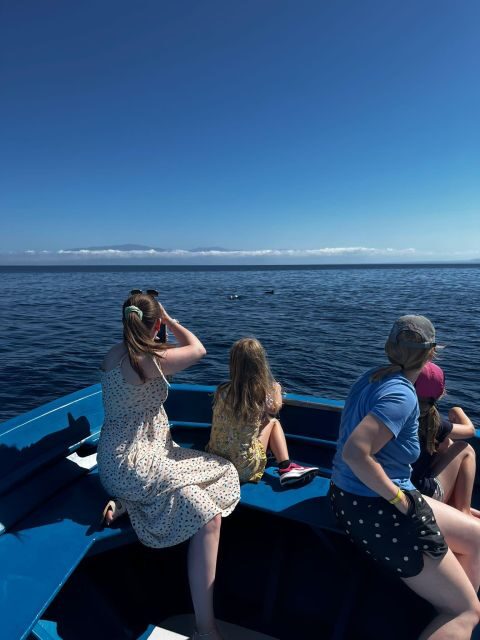 Pizzo: Fishing, Snorkeling, Dolphin Watching - An In-Depth Look at the Pizzo Tour Experience  
