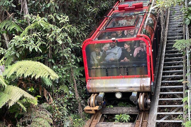 PJ Blue Mountains Supreme [Private Charter] - The Sum Up