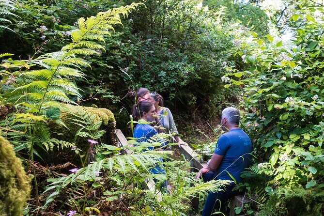 Placenames & Their Amazing Stories: with a West Cork Picnic - Who is This Tour Best For?