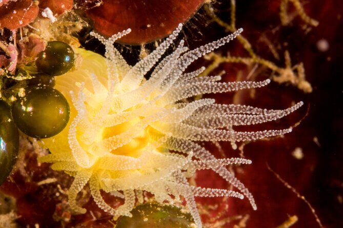 Plakias: Try Scuba Diving first time - Private, from 8 yrs. - The Itinerary Breakdown