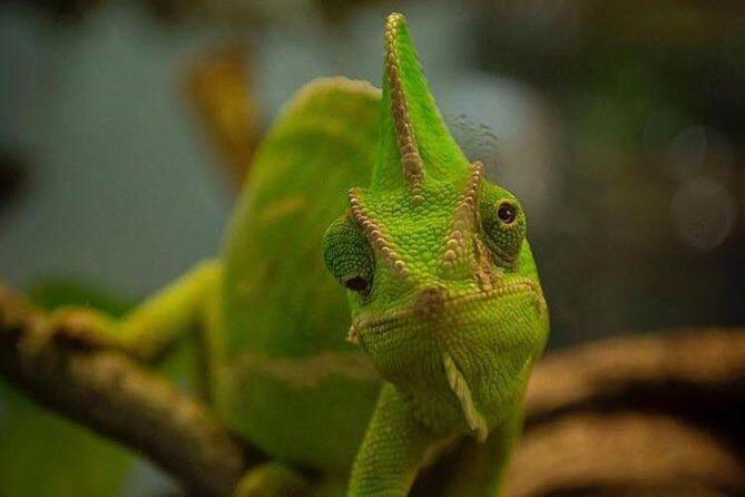 Planet Exotica entrance ticket - Key Points