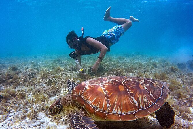 Platinum Catamaran, Drinks, Party and Beach Club! From Cancun - FAQ  