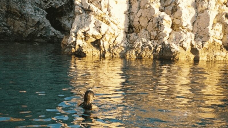 Plavnik Island: A shared half day boat tour - Key Points