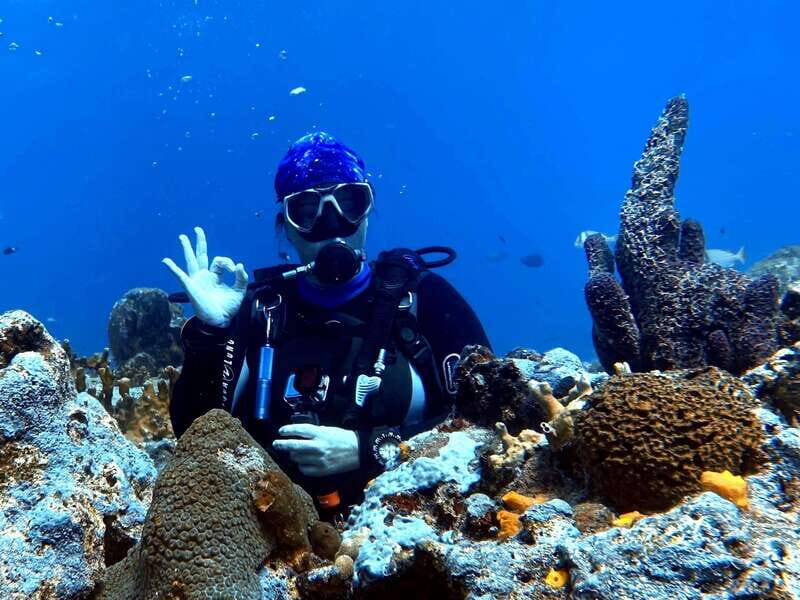 Playa del Carmen: 2-Tank Reef Dive - Key Points
