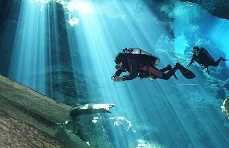 Playa del Carmen: Cenote Diving Experience - What You Need to Know Before Booking  