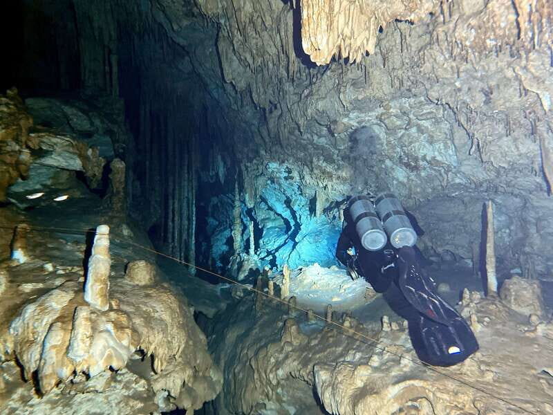 Playa del Carmen: Cenote Diving Experience - Who This Tour Is Best For  