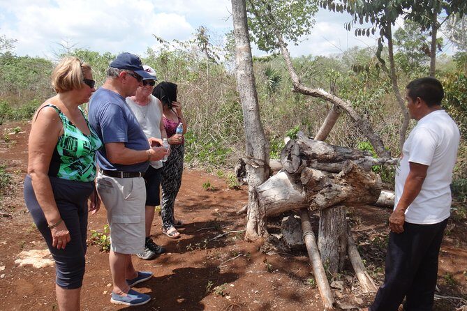 Playa del Carmen Cultural Day Tour - FAQ