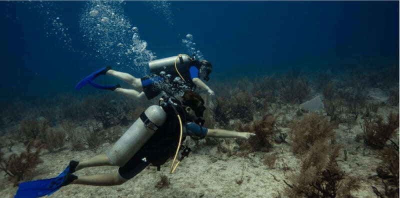 Playa del Carmen: Discover Scuba Diving - Key Points