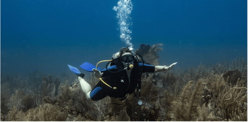 Playa del Carmen: Discover Scuba Diving - The Experience Provider: DIVE MIKE