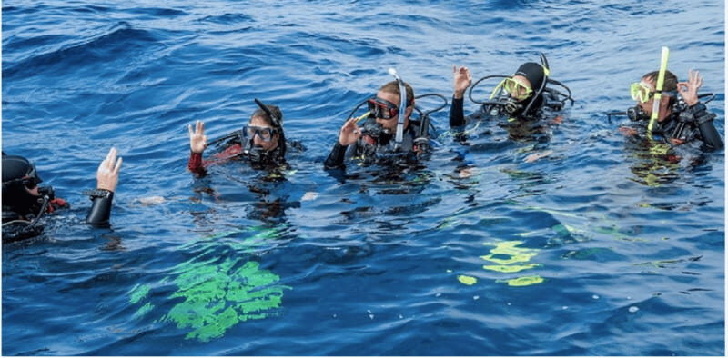 Playa del Carmen: Divemaster Course - Why choose the Playa del Carmen Divemaster Course?