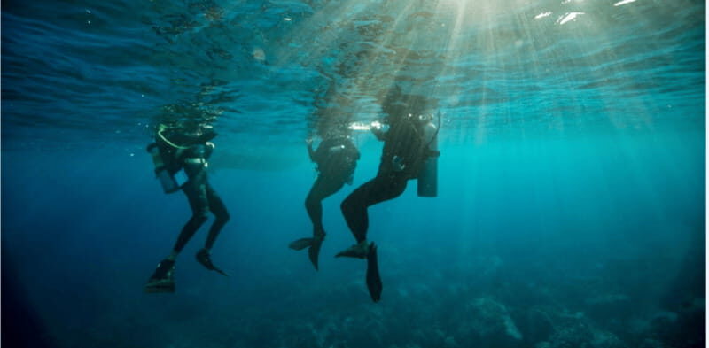 Playa del Carmen: Divemaster Course - What Past Participants Say