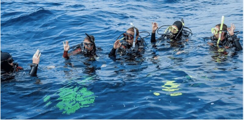 Playa del Carmen: Divemaster Course - FAQ