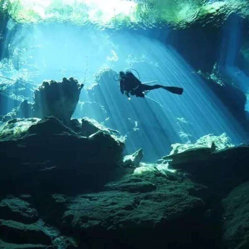 Playa del Carmen: Diving at Cenote Dos Ojos - What to Know Before You Go