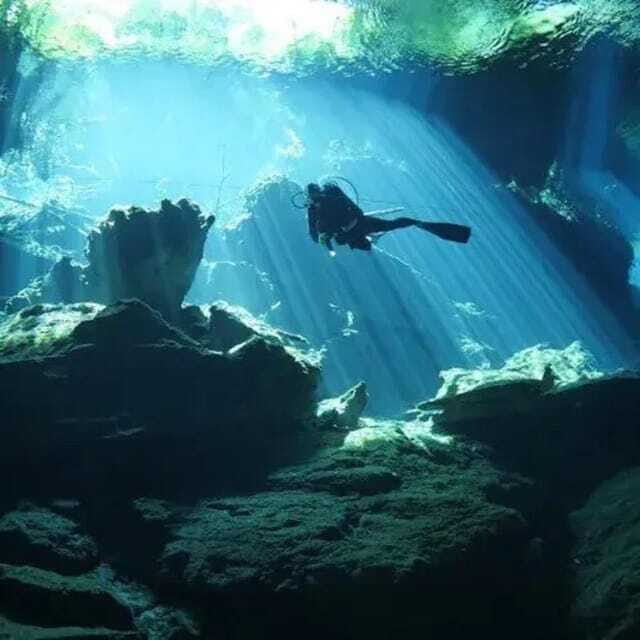 Playa del Carmen: Diving at Cenote Dos Ojos - Authentic Insights from Participants