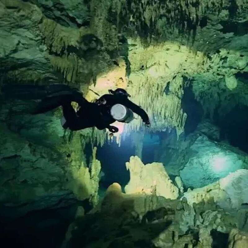 Playa del Carmen: Diving in Cenotes The Pit and Dos Ojos - Key Points