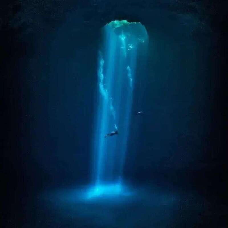 Playa del Carmen: Diving in Cenotes The Pit and Dos Ojos - What Makes This Tour Stand Out?