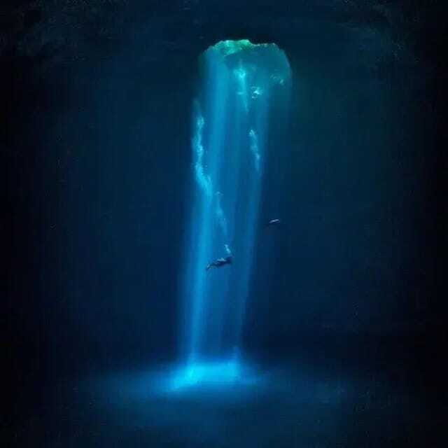 Playa del Carmen: Diving in Cenotes The Pit and Dos Ojos - The Sum Up