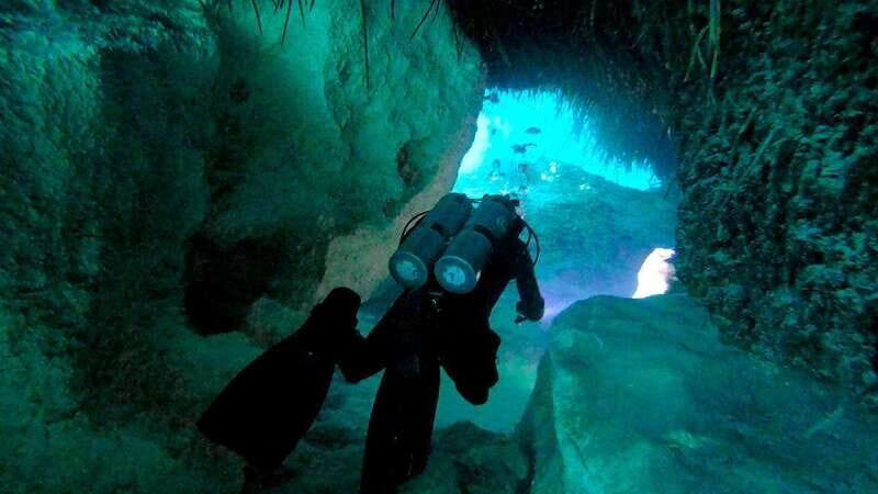Playa del Carmen: Dual Realm Diving (Cenote + Reef Diving) - Why This Tour Is a Great Choice