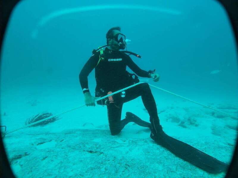 Playa del Carmen: Dual Realm Diving (Cenote + Reef Diving) - Frequently Asked Questions