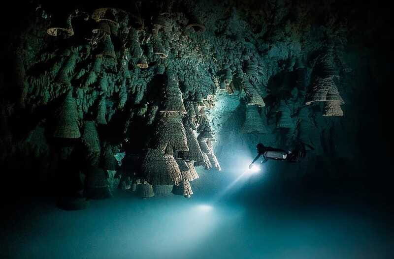 Playa del Carmen: Explore the Surreal World of Cenote Diving - Final Thoughts: Is It Worth It?