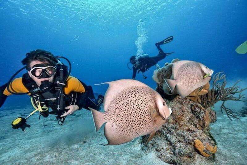 Playa del Carmen: Fun Dive Experience for Certified Divers - Key Points