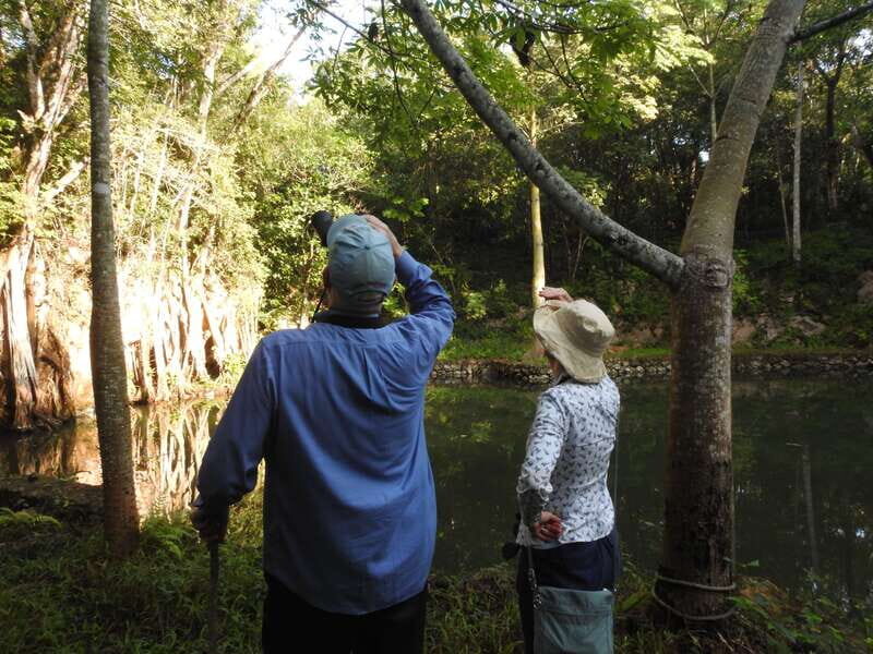 Playa del Carmen: Guided Birdwatching Hike - Final Thoughts: Why This Birdwatching Hike Is a Hidden Gem