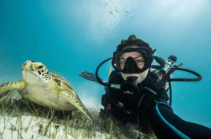 Playa del Carmen: Guided Reef Diving for Certified Divers - Introduction