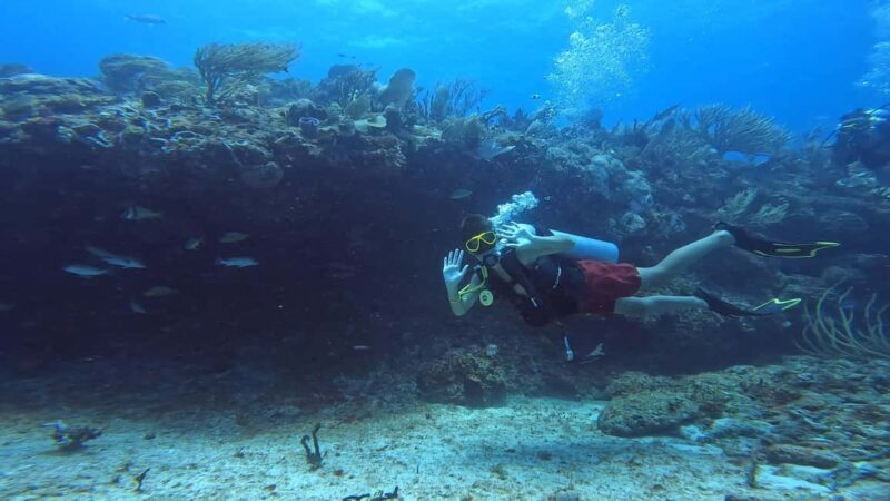 Playa del Carmen: Introductory Scuba Diving at Coral Reefs - Why Choose This Tour?