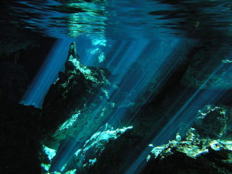 Playa del Carmen: Mind-Blowing Diving at Cenote Dos Ojos - Key Points
