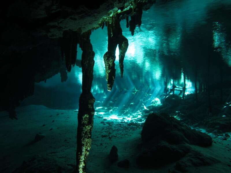 Playa del Carmen: Mind-Blowing Diving at Cenote Dos Ojos - Final Thoughts