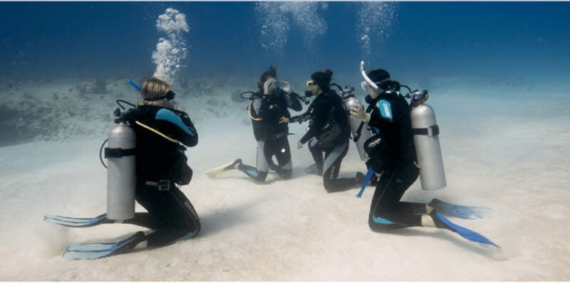 Playa del Carmen: Open Water Diver Course - What to Expect from the Open Water Diver Course