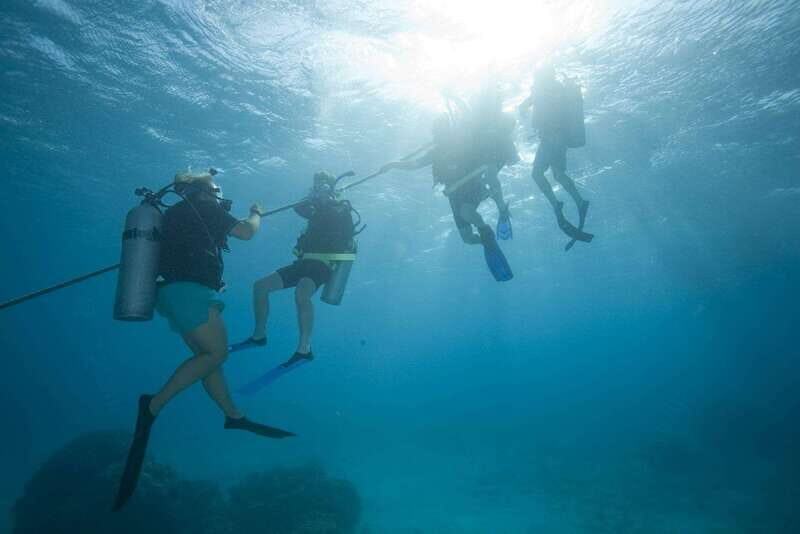 Playa del Carmen: PADI Advance Open Water in Riviera Maya - Final Thoughts