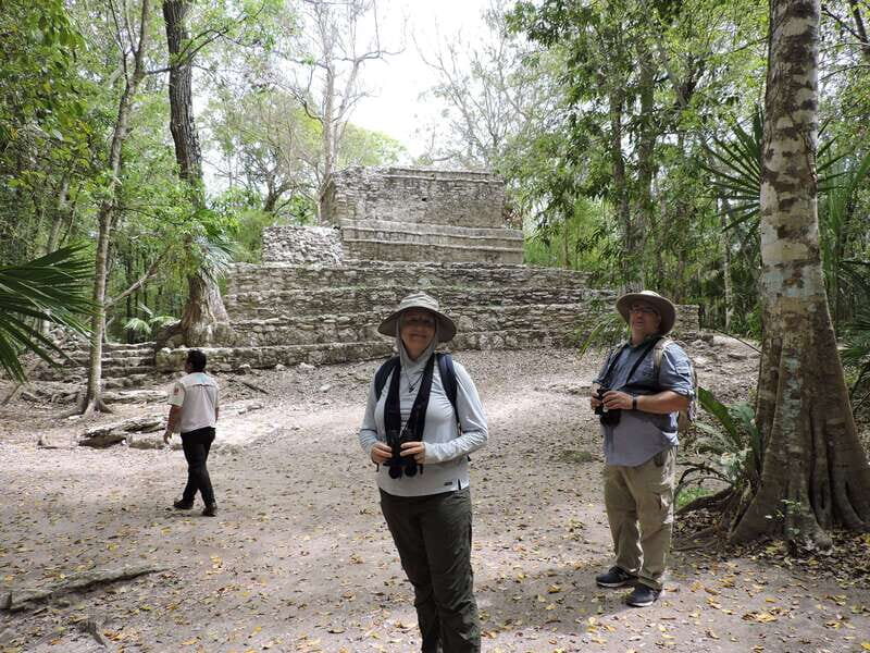 Playa del Carmen: Private Morning Birdwatching Tour - Who Would Benefit Most?