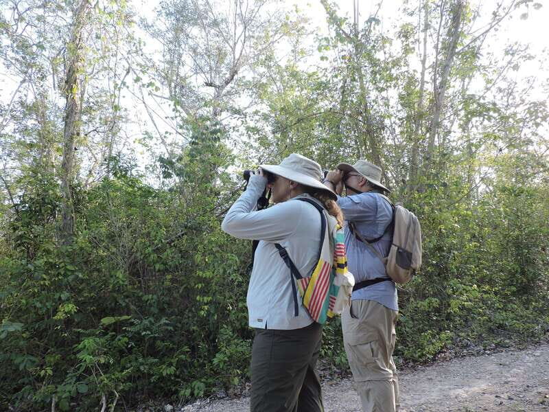 Playa del Carmen: Private Morning Birdwatching Tour - FAQ