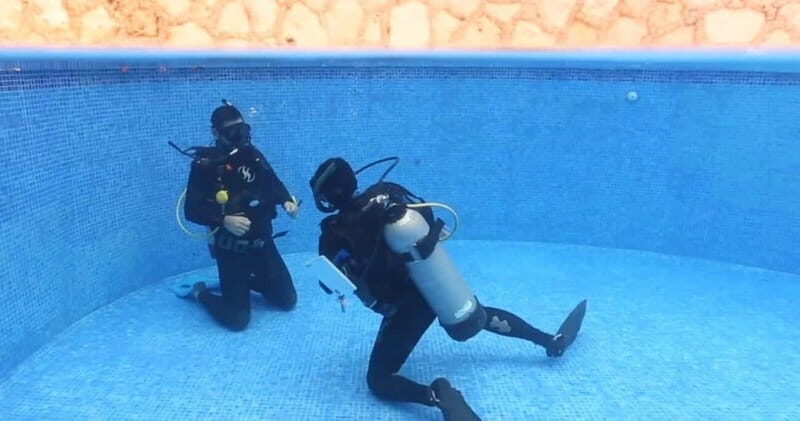 Playa del Carmen: Refresher Dive - Real-World Insights from Participants